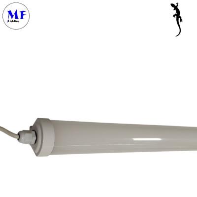 China 50W Durable LED Tri-Proof Light IP66 3000K-6000K High Luminous Efficiency for Industrial and Commercial Applications for sale
