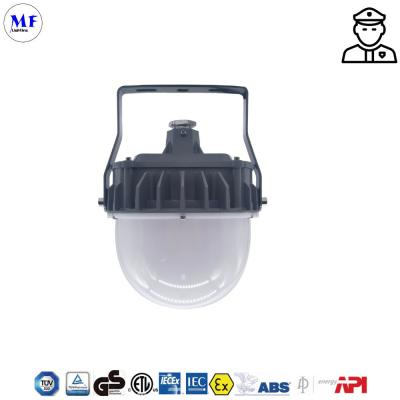 China IP66 IK10 IEC Certifiled 20W 40W 60W Dimmable Explosion Proof Light For Ocean Vessel Pumping Station for sale