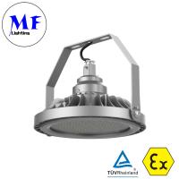 China Factory Price OEM 140lm/W Explosion-Proof IP66 Atex Light Zone 1 Zone 2 Zone 21 Zone 22 Zone 11 For Oild Gas Station for sale