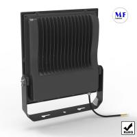 China 5000K LED Flood Light 100W 130lm/W IP66 Outdoor Waterproof IK10  For Tunnel And Stations for sale