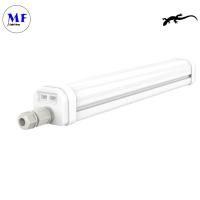 China 160lm/W IP66 LED Triproof Light Warranty 5 Years IK08 For Indoor Warehouse for sale