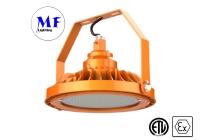 China IP66 Waterproof LED Explosion Proof Light 60W/80W/100W/150W/200W For Gas Station Industrial Light for sale