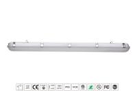 China 20W 5 Years Warranty IP65 LED Tri-proof Light For Warehouse Parking Lot for sale