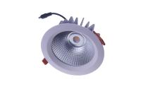 China Outdoor IP65 Waterproof Led Down Lights 4