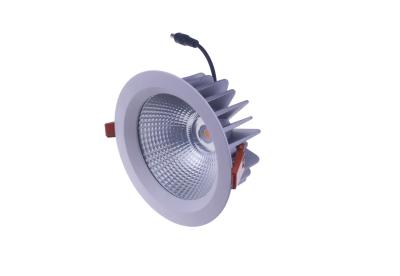 China 230Vac Input IP65 LED Down Lights 10 Watt 3inch  100lm/w, daylight 4000K for sale