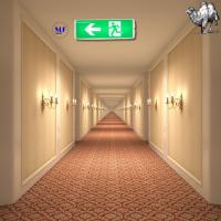 China 5W Green White IP65 SMD2835 LED Emergency Exit Light Escape Light for Train Station Factory Airport for sale
