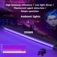 China Factory Price 6W EU Us Standard Silvery Fluorescent Tube PC Alu. Hangable IP43 Bar Pub Club KTV Ambient Atmosphere Scenario LED UV Light Light for sale