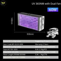 China Heavy-Duty CE CB Certified 200W 0~110mm Height-Adjustable Frame Dual-Fan Cooling UV LED Curing Lamp for Factory Automation for sale