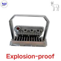 China Factory Price ATEX IECEx Certified Die-casting Aluminum LED Explosion Proof Flood Light for Oil Gas LNG Chemical Plant Mining Marine Platform Ocean Vessel for sale