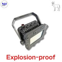 China Factory Price ATEX IECEx Certified Die-casting Aluminum LED Explosion Proof Flood Light for Oil Gas LNG Chemical Plant Mining Marine Platform Ocean Vessel for sale