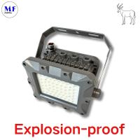 China Factory Price ATEX IECEx Certified Die-casting Aluminum LED Explosion Proof Flood Light for Oil Gas LNG Chemical Plant Mining Marine Platform Ocean Vessel for sale