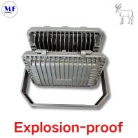 China Factory Price ATEX IECEx Certified Die-casting Aluminum LED Explosion Proof Flood Light for Oil Gas LNG Chemical Plant Mining Marine Platform Ocean Vessel for sale