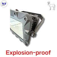 China Factory Price ATEX IECEx Certified Die-casting Aluminum LED Explosion Proof Flood Light for Oil Gas LNG Chemical Plant Mining Marine Platform Ocean Vessel for sale