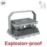 China Factory Price ATEX IECEx Certified Die-casting Aluminum LED Explosion Proof Flood Light for Oil Gas LNG Chemical Plant Mining Marine Platform Ocean Vessel for sale