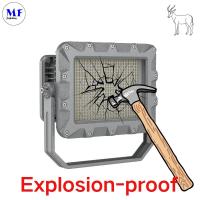 China Factory Price ATEX IECEx Certified Die-casting Aluminum LED Explosion Proof Flood Light for Oil Gas LNG Chemical Plant Mining Marine Platform Ocean Vessel for sale