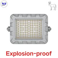 China Factory Price ATEX IECEx Certified Die-casting Aluminum LED Explosion Proof Flood Light for Oil Gas LNG Chemical Plant Mining Marine Platform Ocean Vessel for sale