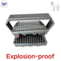 China Factory Price ATEX IECEx Certified Die-casting Aluminum LED Explosion Proof Flood Light for Oil Gas LNG Chemical Plant Mining Marine Platform Ocean Vessel for sale