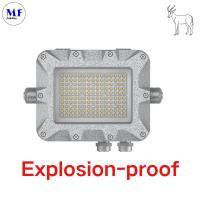 China Factory Price ATEX IECEx Certified Die-casting Aluminum LED Explosion Proof Flood Light for Oil Gas LNG Chemical Plant Mining Marine Platform Ocean Vessel for sale