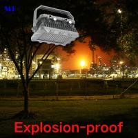 China Factory Price ATEX IECEx Certified Die-casting Aluminum LED Explosion Proof Flood Light for Oil Gas LNG Chemical Plant Mining Marine Platform Ocean Vessel for sale