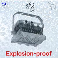 China Factory Price ATEX IECEx Certified Die-casting Aluminum LED Explosion Proof Flood Light for Oil Gas LNG Chemical Plant Mining Marine Platform Ocean Vessel for sale