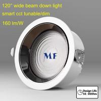 China LED Down Light Round SMD 120 Degree Wide Beam 140lm/W 160lm/W IP44 Ik07 50W 60W 70W 80W 100W Dali Tuya Zigbee Black White Housing Cover for sale