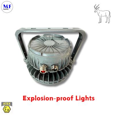 China IP66 IK08 5 years warranty Various installation ways  Ra>80 ATEX Certified Die-Cast Aluminum Explosion Proof highbay Ligh for sale