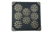 China IP66 explosion proof  Petrol Station Lighting 110Lumen per watt 150W tempered glass cover for sale