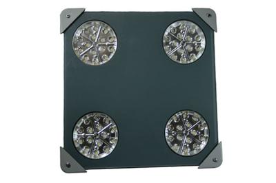 China 6500LM IP66 60Watt   LEDs LED Canopy Lights IP66 5 Years Warranty explosion proof for sale