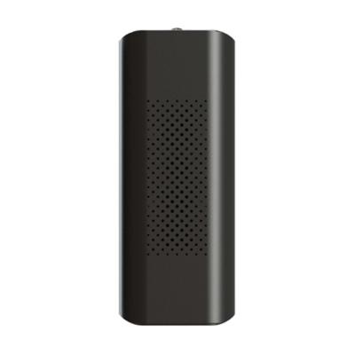 China High Inflation Efficiency Car Tyre Wireless Electric Air Pump Voltage Regulation Protection for sale