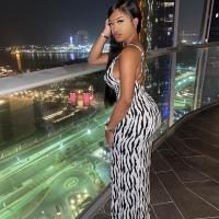 China Sexy Print Stylish Ladies Dress Zebra Stripe V Neck Halter Dress for sale