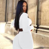 China Slim Sexiest Workout Clothing Fashion Solid Color Casual Crop Sexy Fitness Outfits for sale