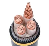 China CCC XLPE Insulated Armoured Cable PVC Sheathed LV Power Cable for sale