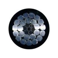 China Single Core ABC XLPE PVC Aluminium Overhead Cables 600/1000V for sale