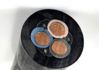China 4C Copper Conductor Rubber Sheathed Cable ISO9001 Flame Retardant Power Cable for sale