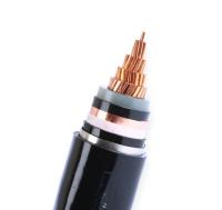 China SWA XLPE Insulated Power Cable N2XBY Medium Voltage Wire With Copper Tape Screen for sale