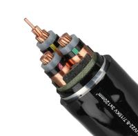 China STA Armoured N2XBY XLPE Insulated Cable YJV22 Medium Voltage Power Cable for sale