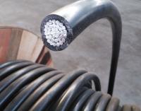 China PVC Insulated ABC Overhead Cable Medium High Voltage ABC Aluminium Cable for sale