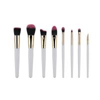 China Elegant 10 Pieces Makeup Brush Set Highly Versatile Professional Eyeshadow Brushes for sale