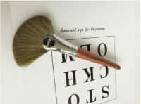 China Brown Powder Fan Brush , Multifunction Single Powder Brush for sale