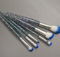 China Plastic Handles Durable Makeup Tool Kit , 6pcs Shiny Glitter Cosmetic Brushes for sale