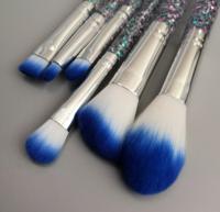 China Plastic Handles Durable Makeup Tool Kit , 6pcs Shiny Glitter Cosmetic Brushes for sale