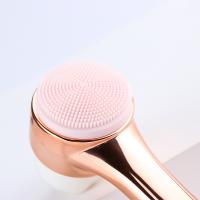 China Double Surface Manual Facial Cleansing Brush Soft Synthetic Hair Silicone 7-10 Day Sample for sale