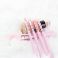 China 5pcs Synthetic Hair Travel Makeup Brush Set Full Face Powder Eyeshadow Blending for sale