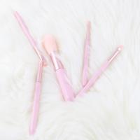 China 5pcs Synthetic Hair Travel Makeup Brush Set Full Face Powder Eyeshadow Blending for sale