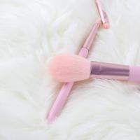 China 5pcs Synthetic Hair Travel Makeup Brush Set Full Face Powder Eyeshadow Blending for sale