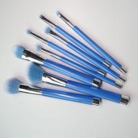 China 8pcs Makeup Brush Set With Blue Plastic Handle Portable Beauty Tool for sale