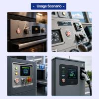 China Strong Current 25mm Push Button Switch 250V 10A High Current Momentary Switch for sale