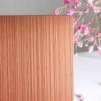 China Elevate Architectural Exteriors Brushed Stainless Steel Sheet Gold Plated For Wall Cladding BIS for sale
