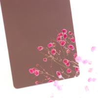 China 3.0mm Mirror 304 Black Decorative Stainless Steel Sheet Gold Nano Stainless Steel Plate for sale