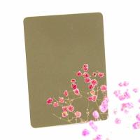 China 3.0mm Mirror 304 Black Decorative Stainless Steel Sheet Gold Nano Stainless Steel Plate for sale